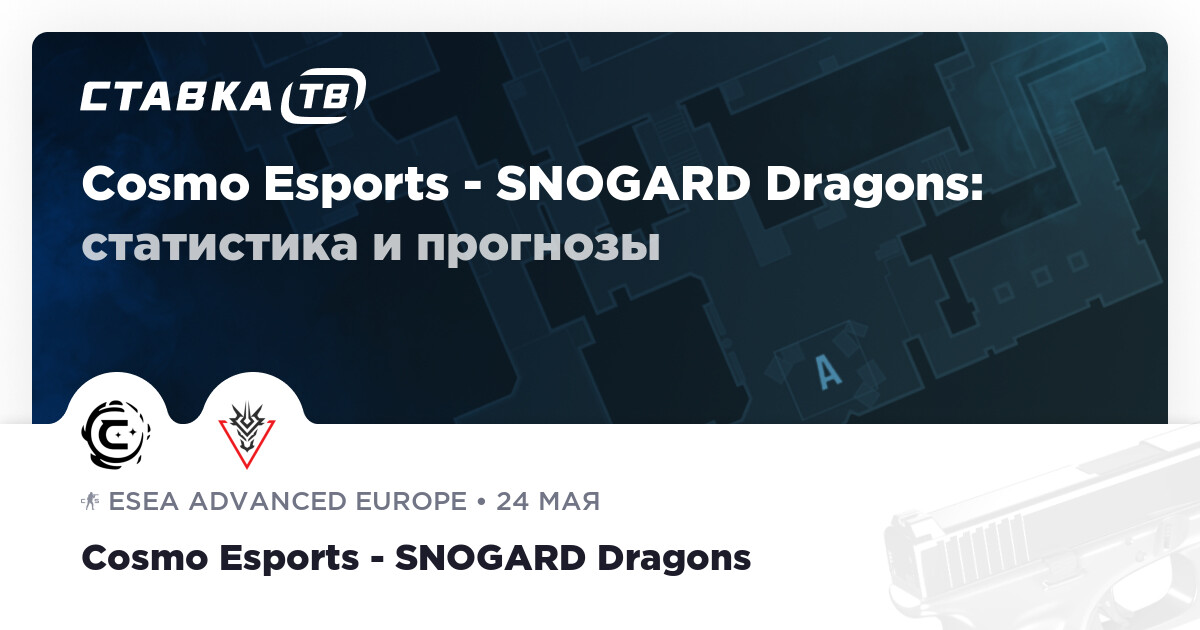 Cosmo Esports - SNOGARD Dragons 24 мая 2023: счёт и результат матча